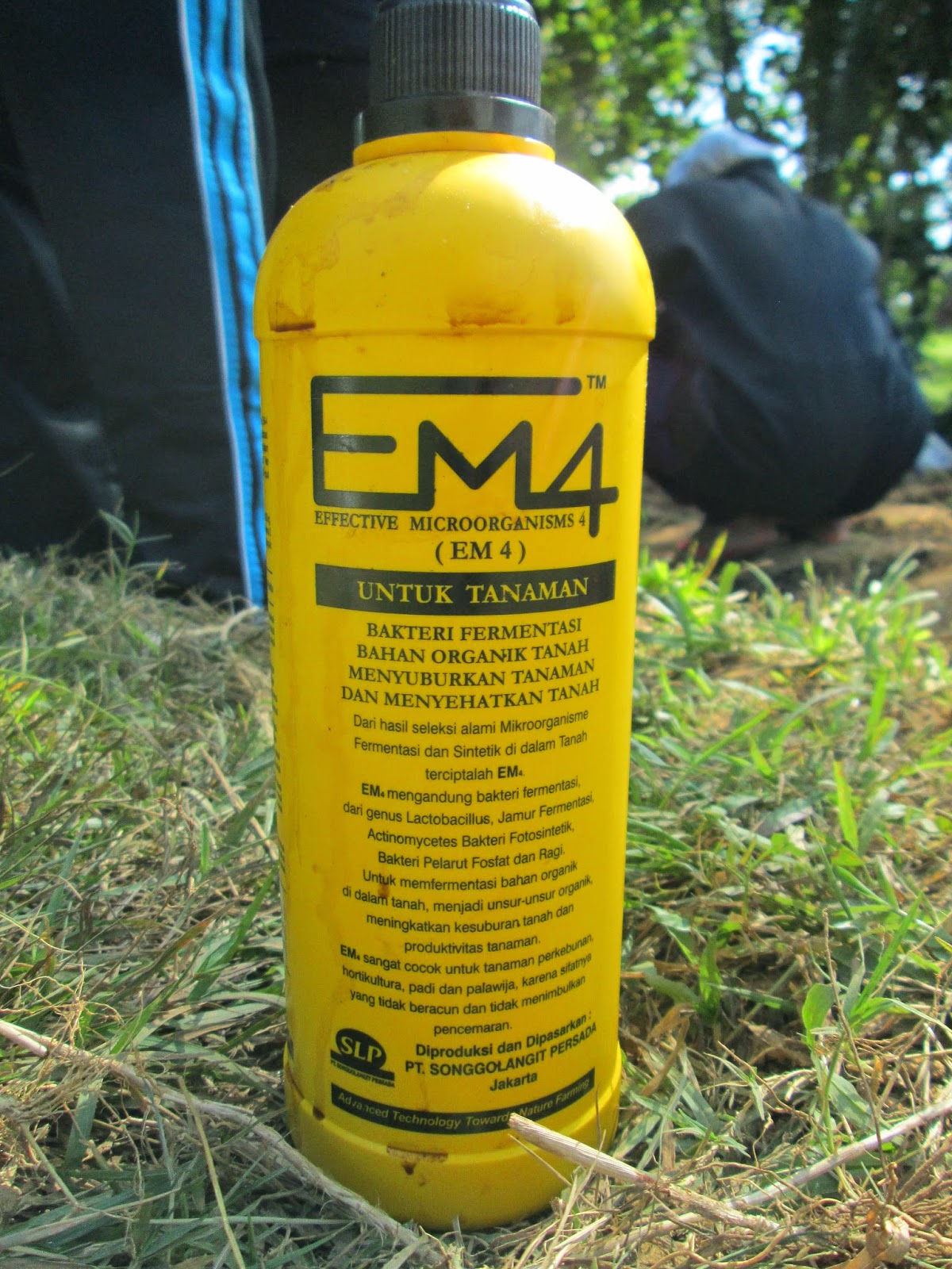 apa itu EM4 dan cara mudah membuatnya