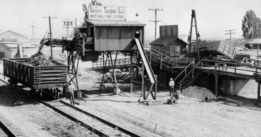 modeling the SP: A beet loader model