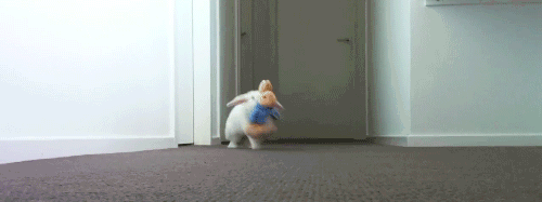 Top 10 Funny Rabbit Gif Images to Curb Off Stress during Pregnancy ...