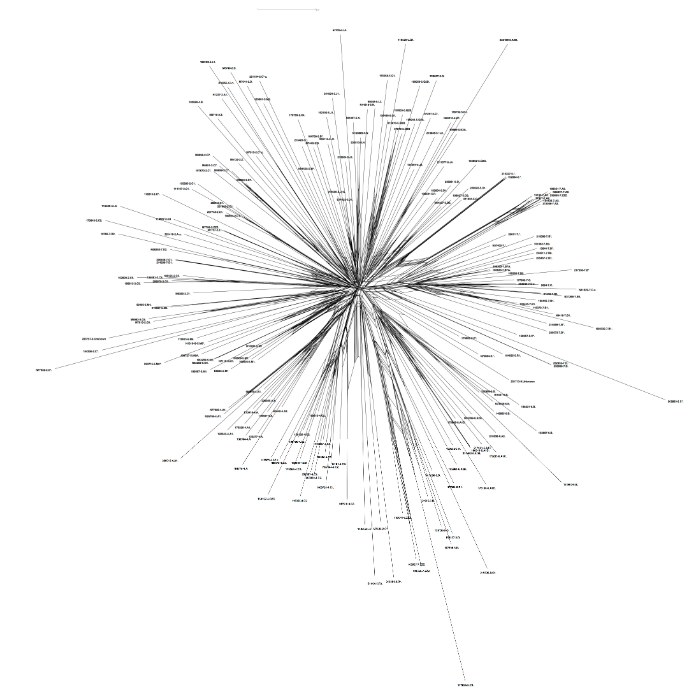 KurdishDNA: R1a1a comparison STR111