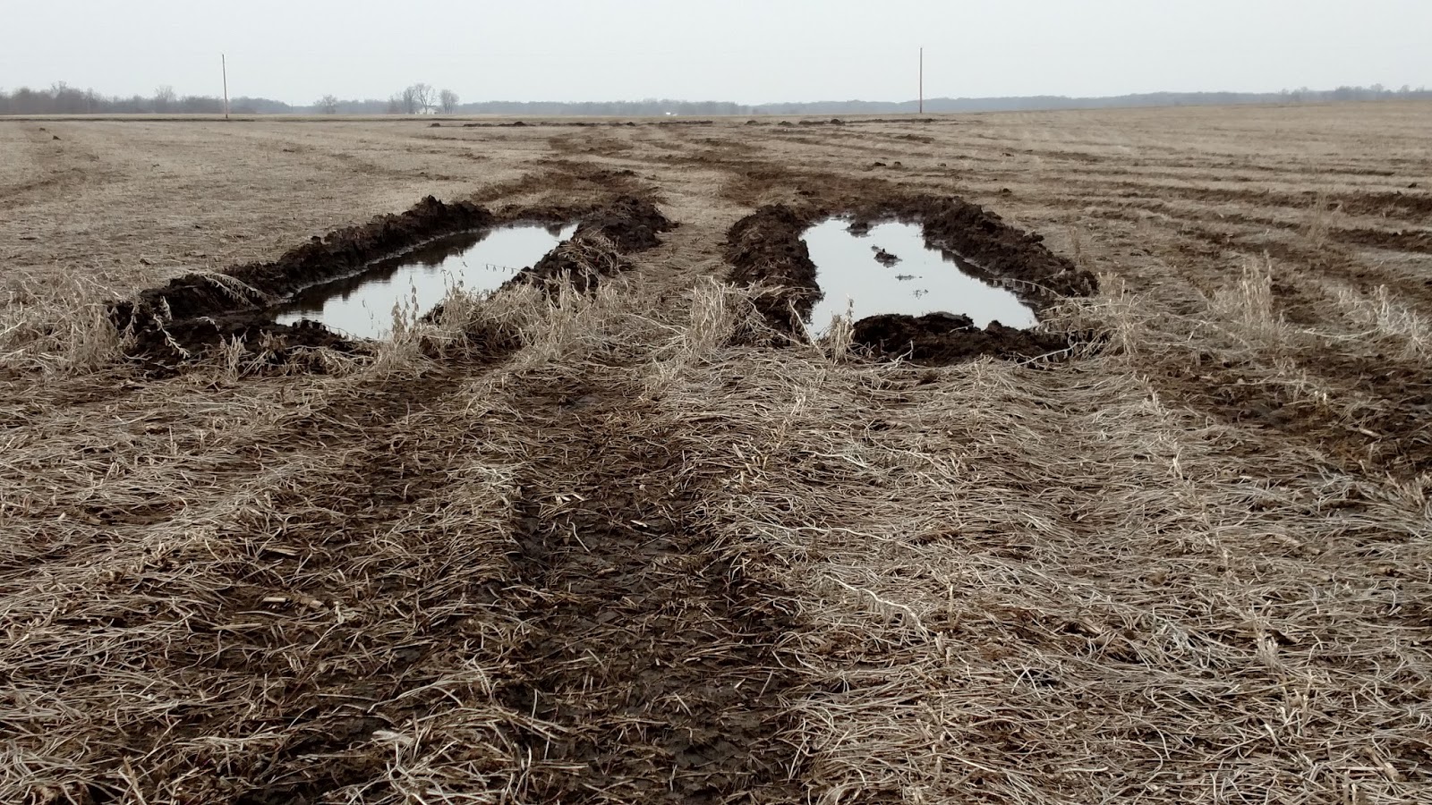 Observations in Agriculture: Soil Compaction