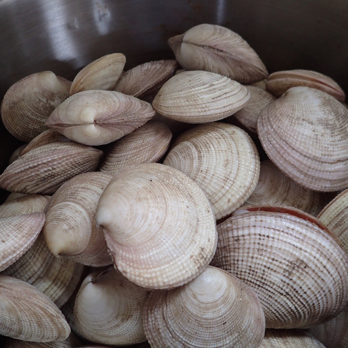 Shellfish Bonanza! Now What? | Galley Wench Tales