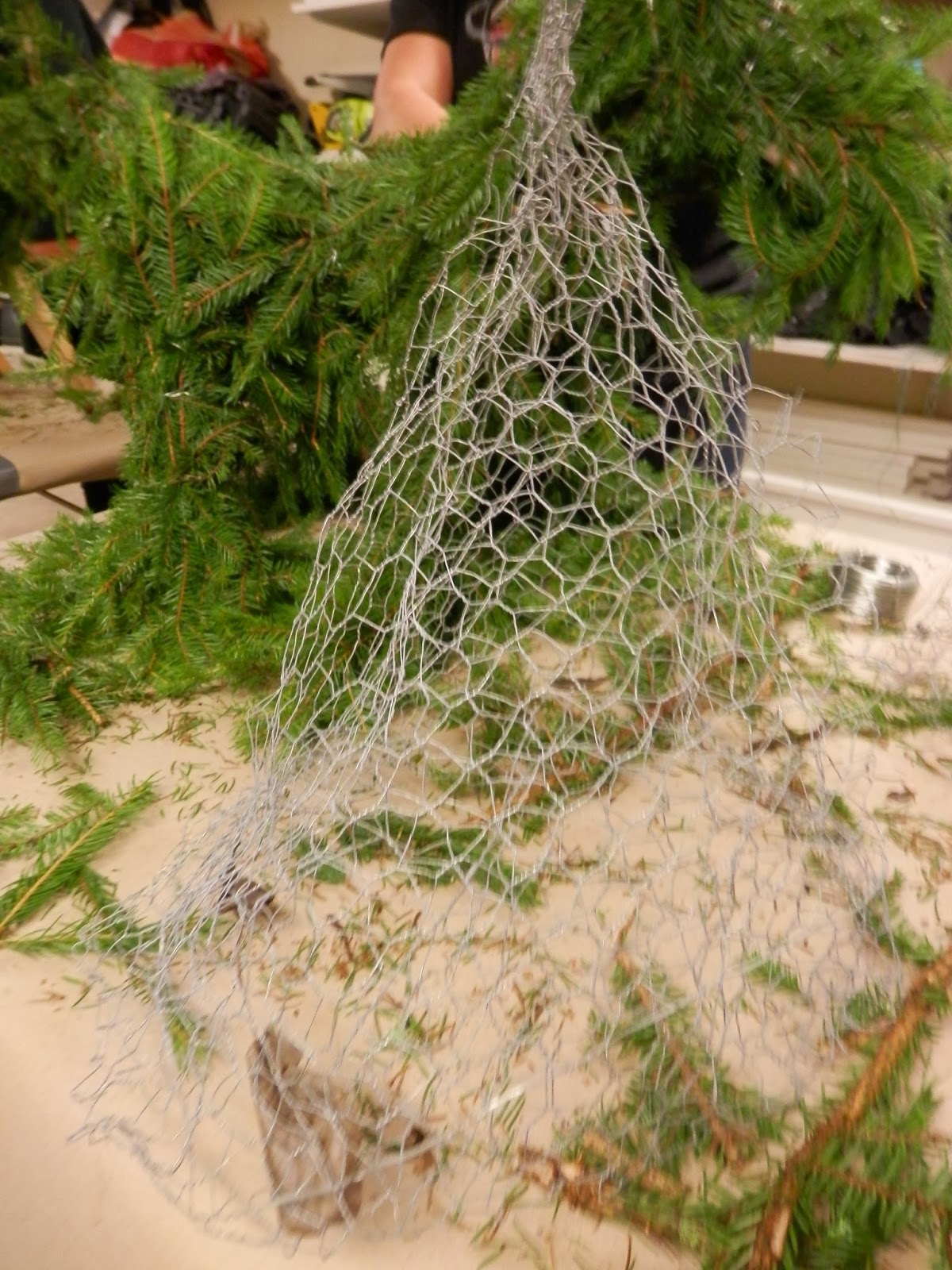 Talltitans trädgård: Granristomte 2013