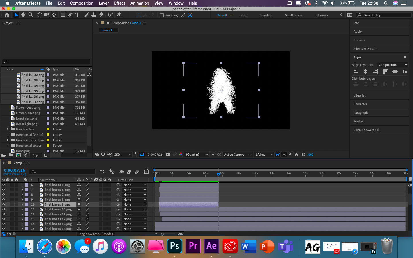 Animating the frame by frame drawings