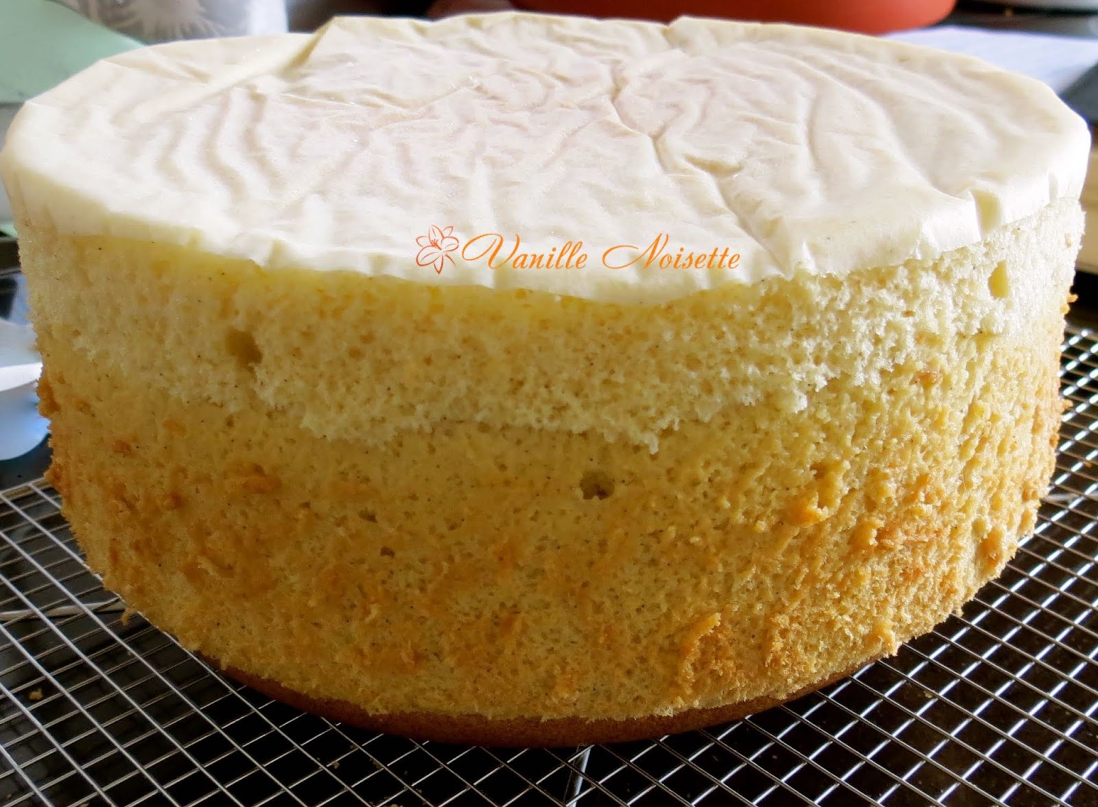 Vanille Noisette : LE FLUFFY CAKE ou le CAKE NUAGE