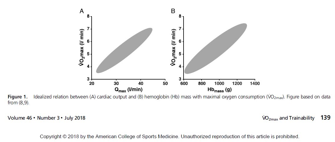 Muscle Oxygen Training: VO2 max training and trainability