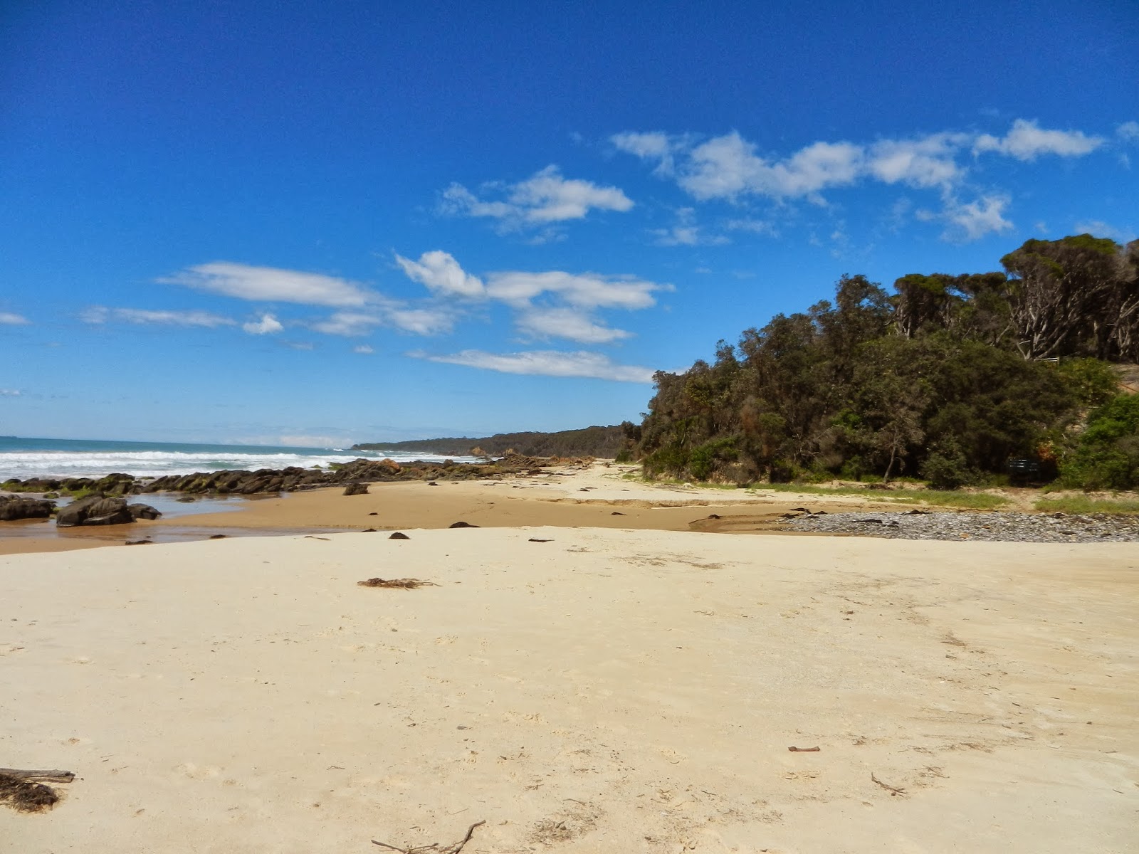 Australie nous voila ! : Breves de Mallacoota.