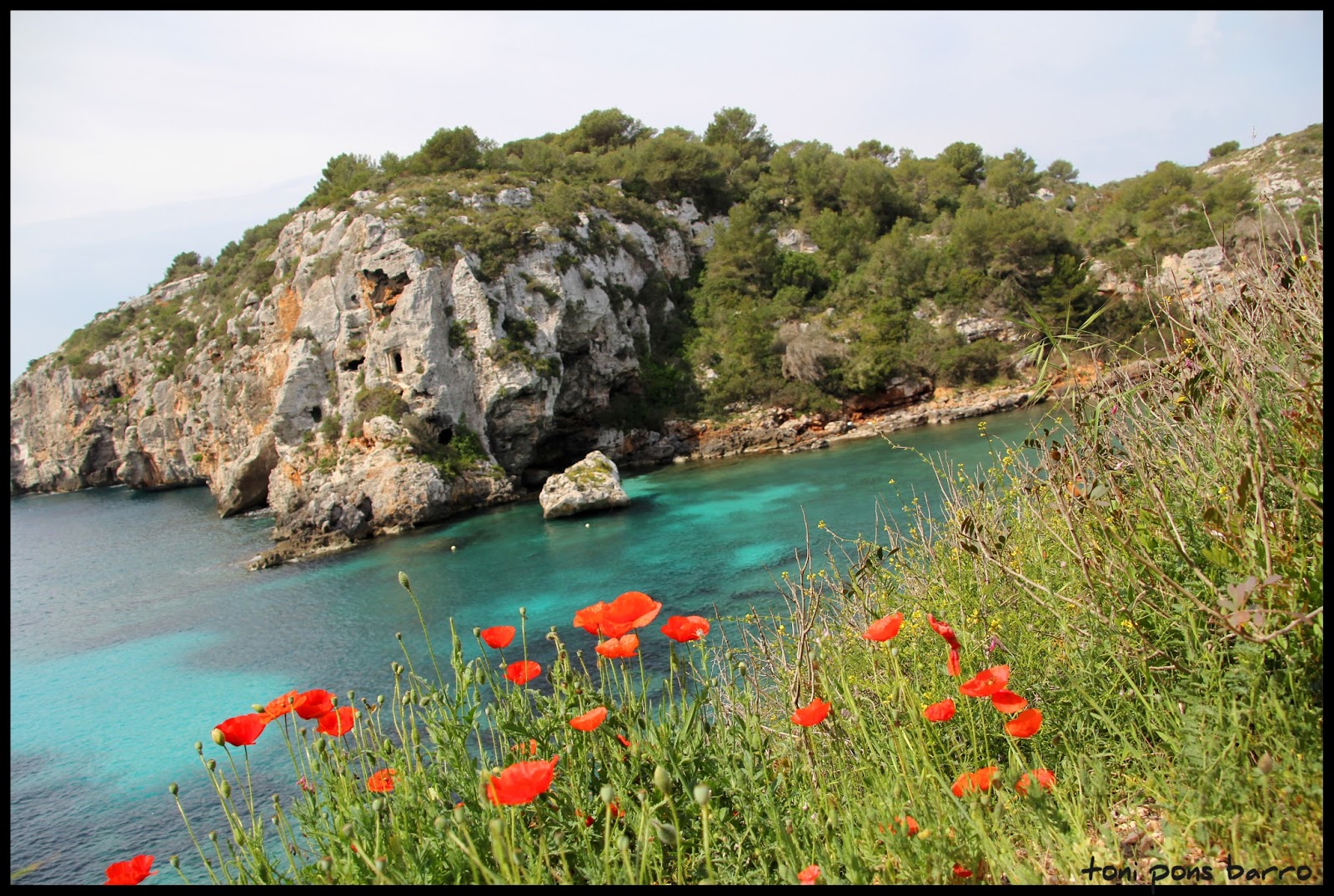 -MENORCA-: Cales Coves.