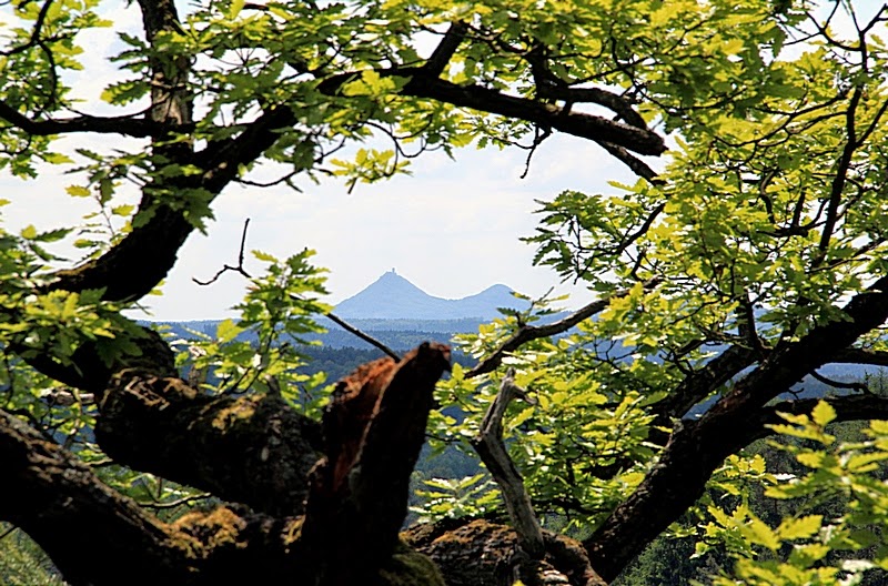 Naturwunder ...: Eine Rundwanderung bei Hammer am See (Nordböhmen)