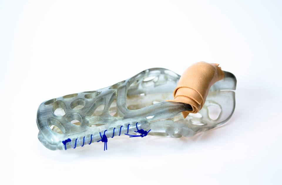 Sea Turtle Assistance and Rehabilitation