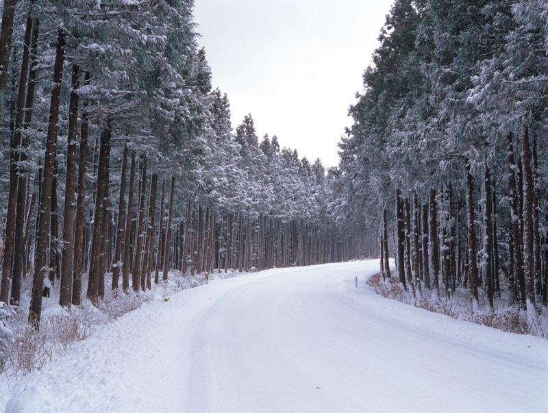 Winter Trip Jeju Island, Korea: Part 1