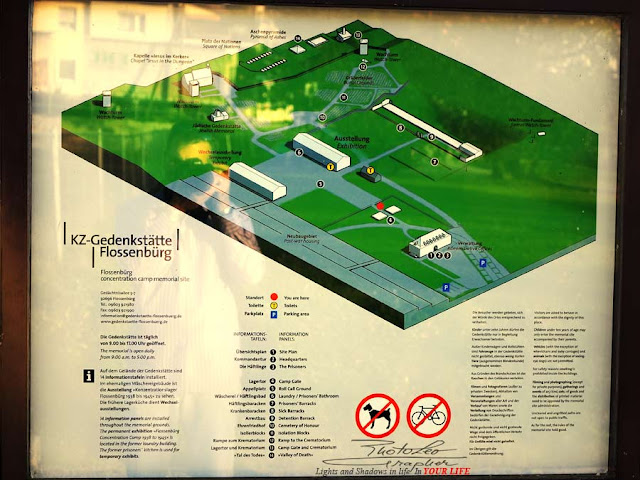 PhotoLeoGrapher - Lights and Shadows in life. In Your Life... that last ...