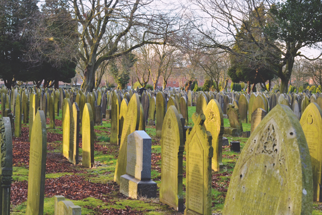 Becky Bedbug: Southern Cemetery, Manchester