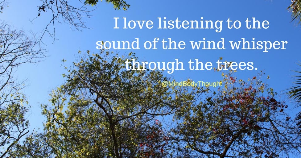 Mind - Body Thoughts: Relaxation To Wind Whispering Through Trees