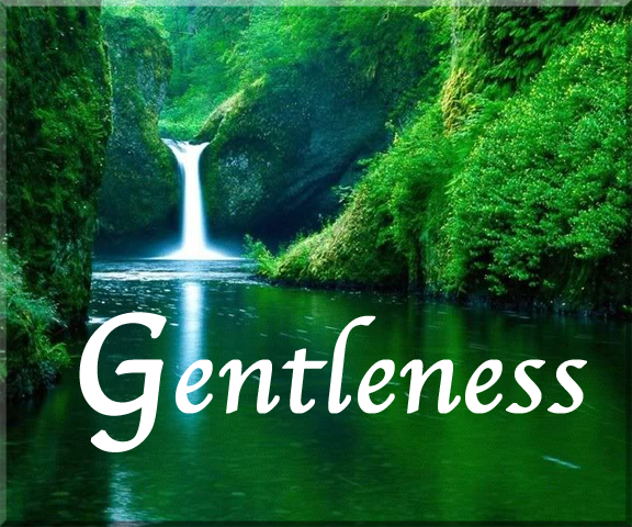 Reflections!: Gentleness