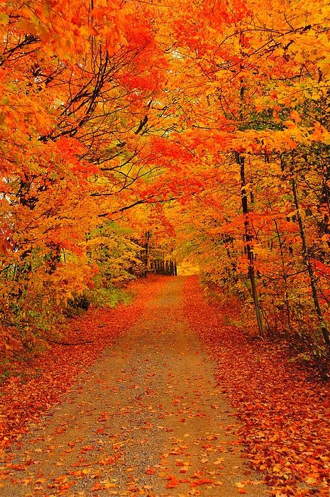 Sandy's Motherhood Blog: Food, Fun, Fashion: The Fabulousness of Fall