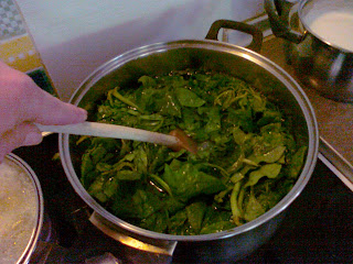 Kuvar za početnike: SPANAĆ -KORAK PO KORAK I RUČAK NA STOLU