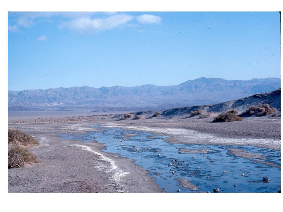 Hidden Springs: Water in Dry Places