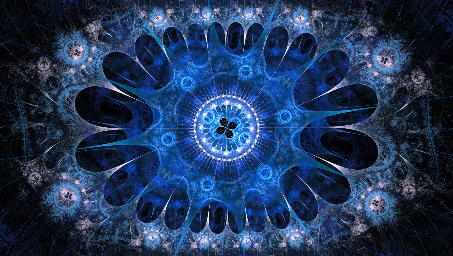 Digital Artist: Cameron Gray