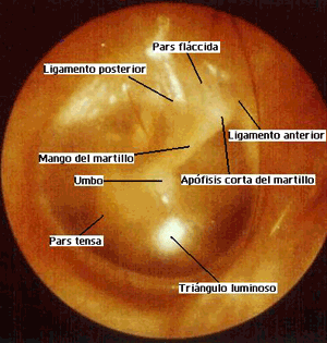 Detrás de la consulta: Otoscopia