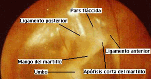 Detrás de la consulta: Otoscopia