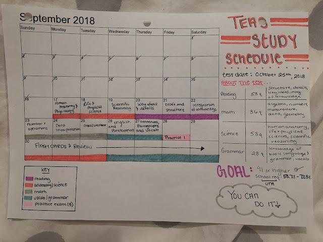 Life and Lattes: My ATI-TEAS Study Schedule & Tips