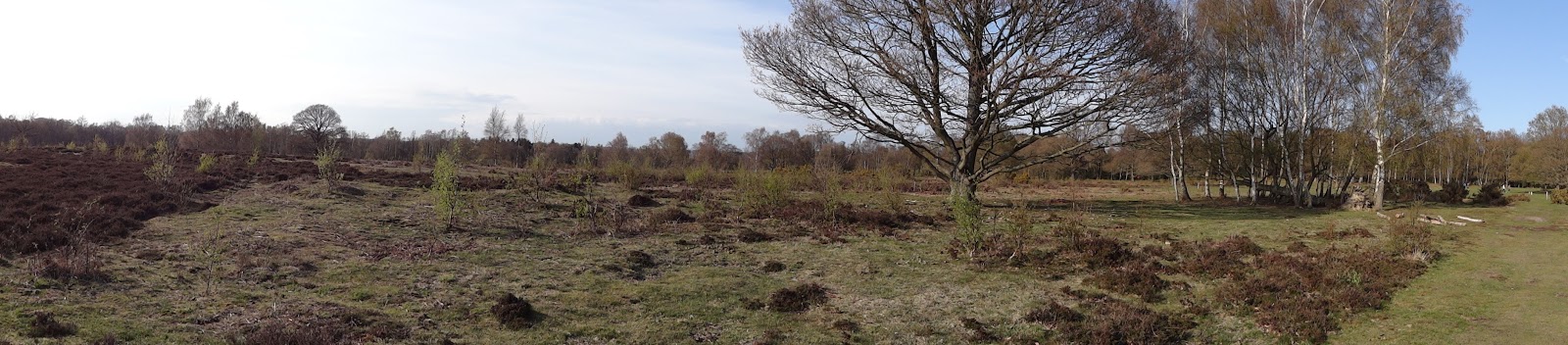 Jake of Winter Hill Adventures: Kent ,Hothfield Common