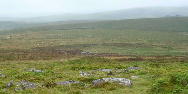 My Dartmoor Walks: Tuesday 7th August Gutter Tor