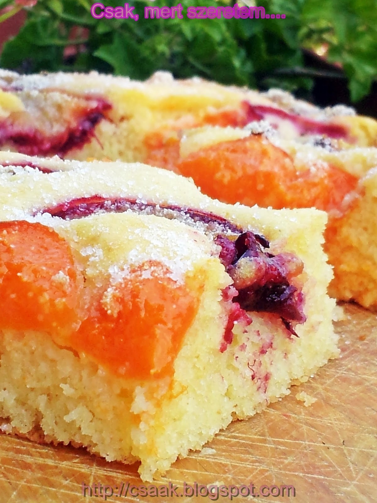 Csak, mert szeretem... kreatív gasztroblog: GRÍZES PITE BARACKKAL ÉS ...