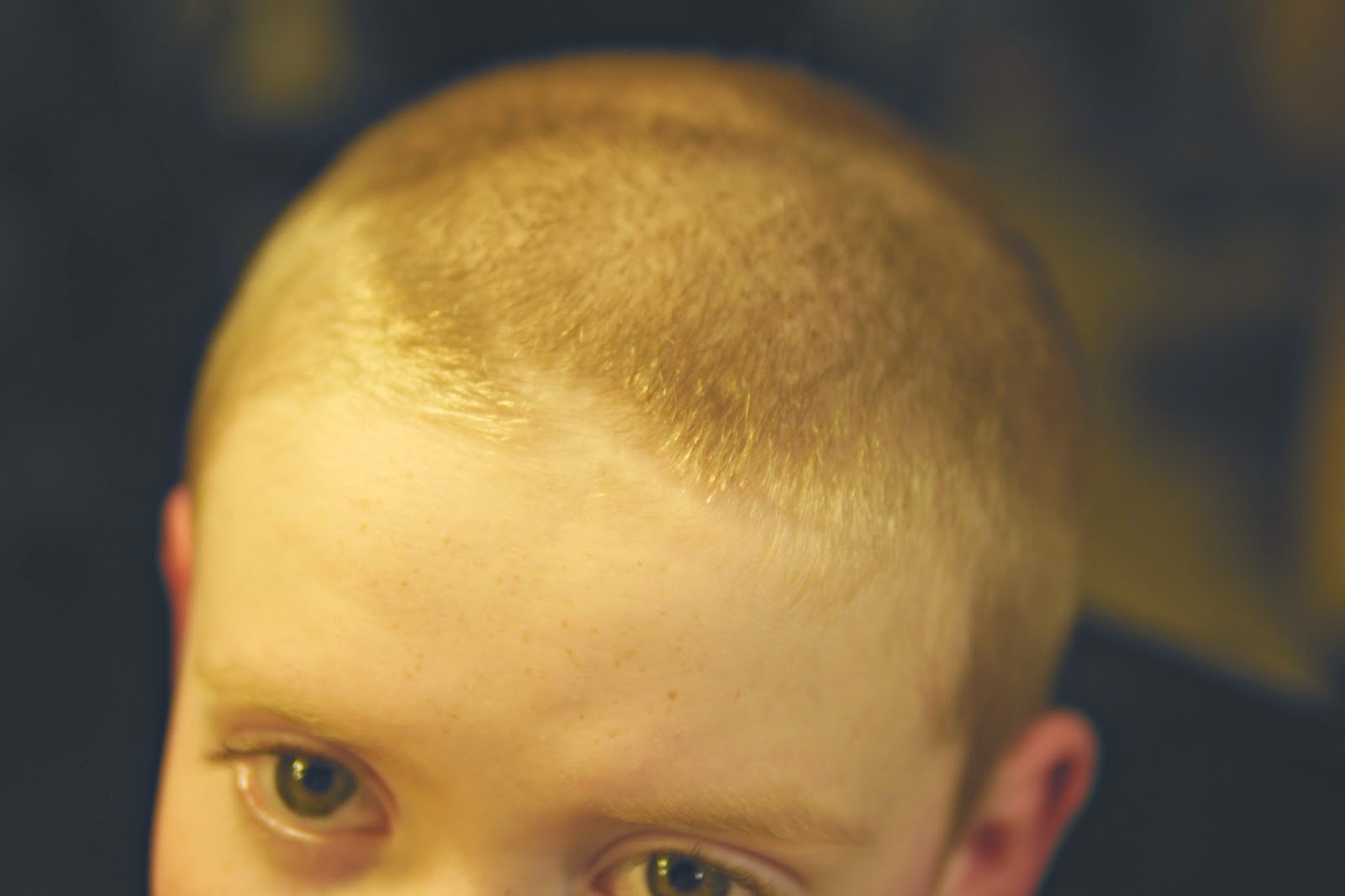 Sleepless in Seattle: Preston's Haircut