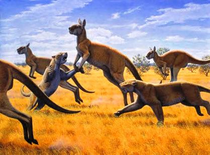 Blog de la Vida Prehistórica: Thylacoleo