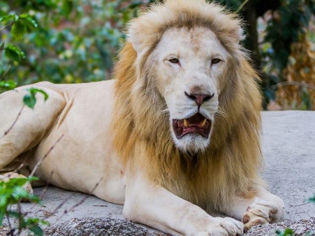 Recorriendo El Salvador: ¡FURESA Y SU IMPACTO POSITIVO EN JAYAQUE!