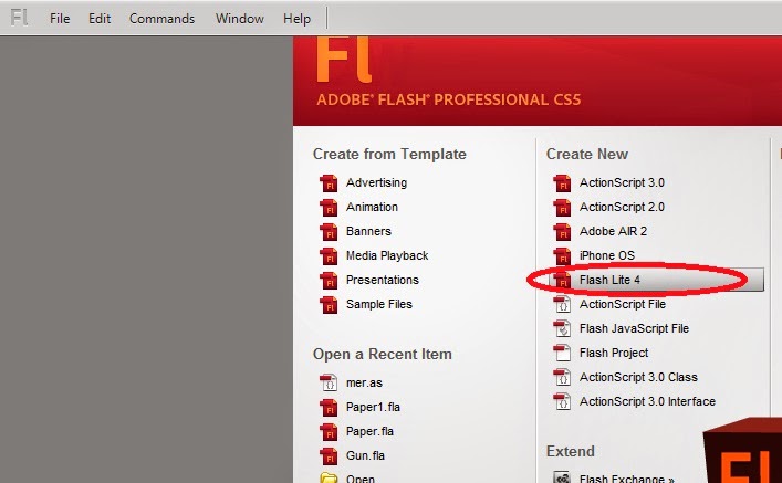Introduction to flash, basic of flash - Learn&Earn