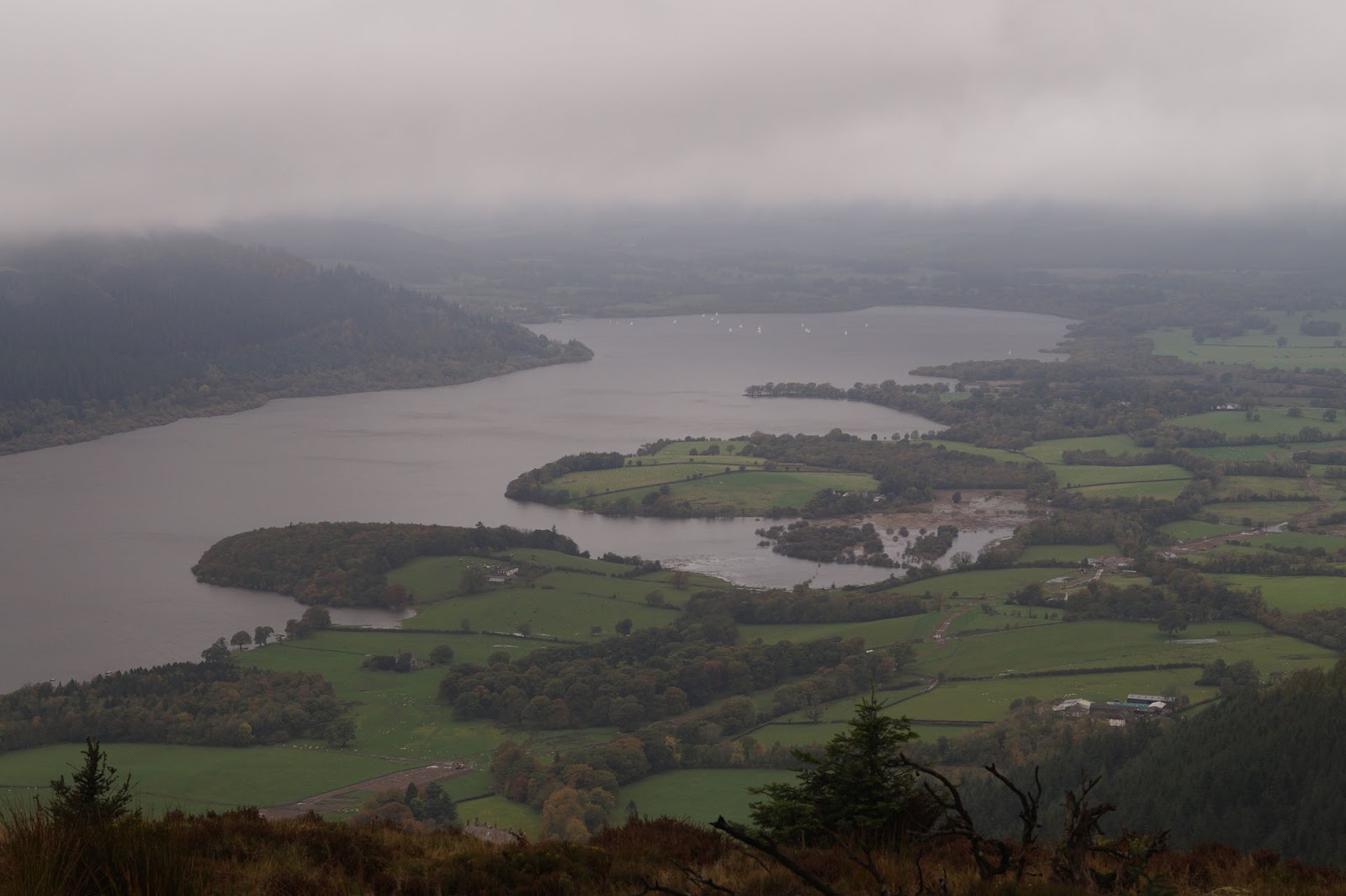 Dodd wood, the route to the summit - Sophie in the Sticks