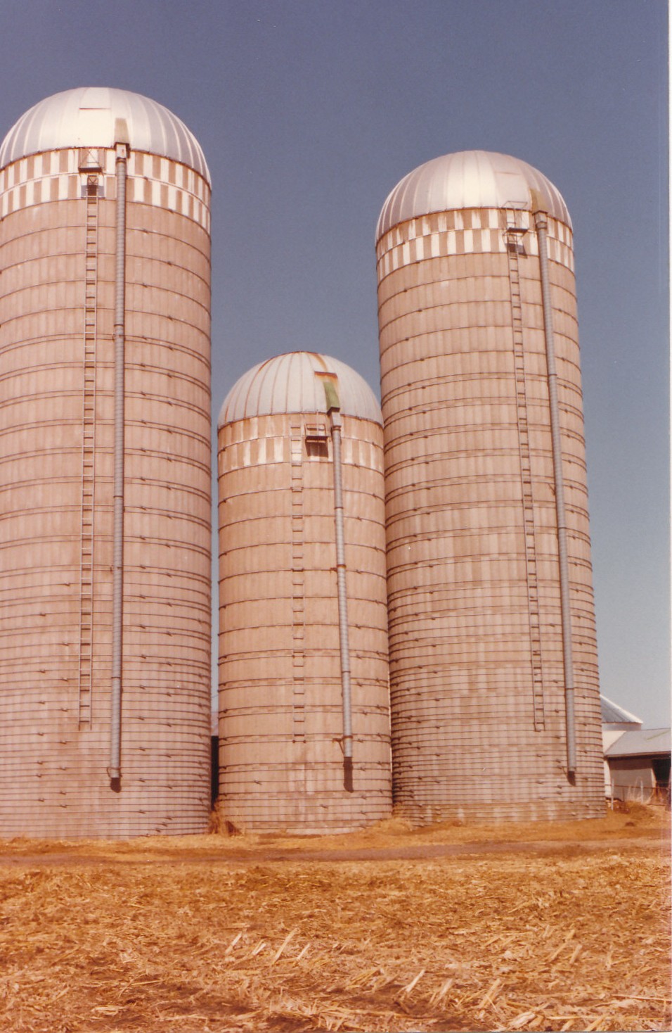 My Barnyard View : The Lifecycle of a Silo