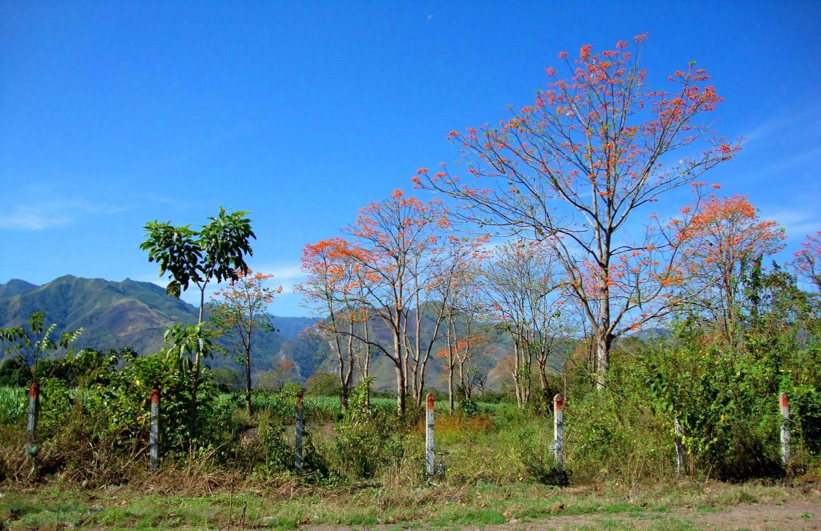El Valle de Cumanacoa, su visualidad profunda