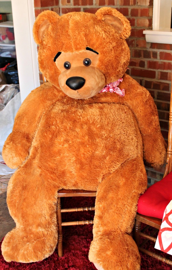 20 North Ora: The Big Fluffy Bear