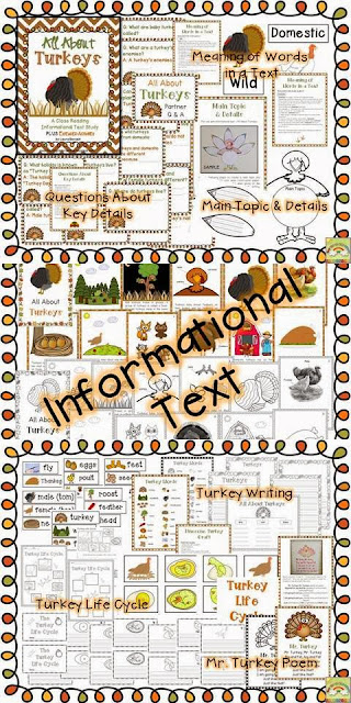 Over the 1st Grade Rainbow: Let's Teach Turkey!!!