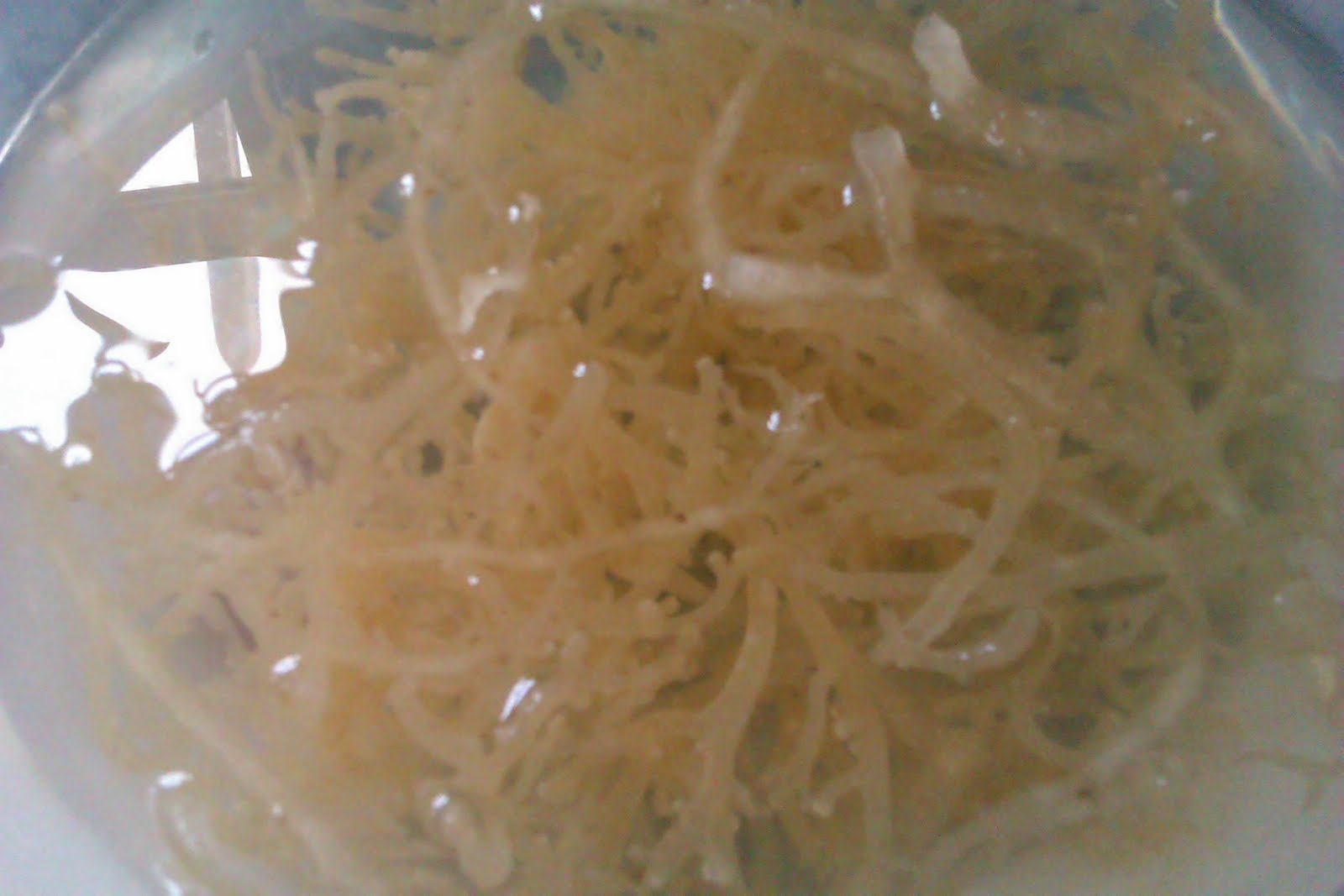 dapurmaktam: PRODUCT OF MALAYSIA agar agar laut kering.. rumpai laut ...