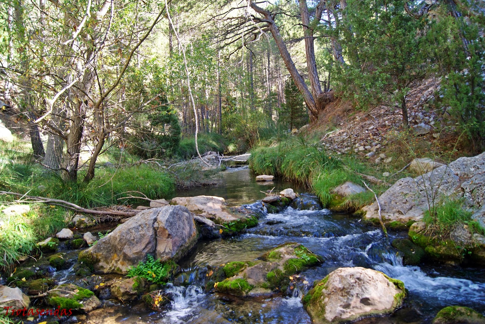 trotasendas: Sierra de Gudar: El cañón del río Alcalá