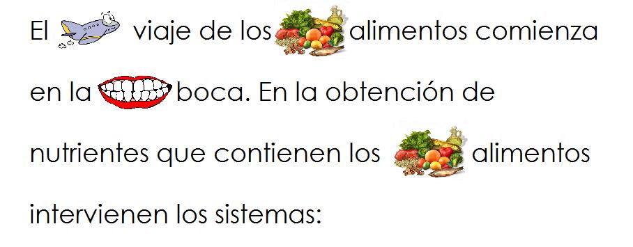 .: El viaje de los alimentos