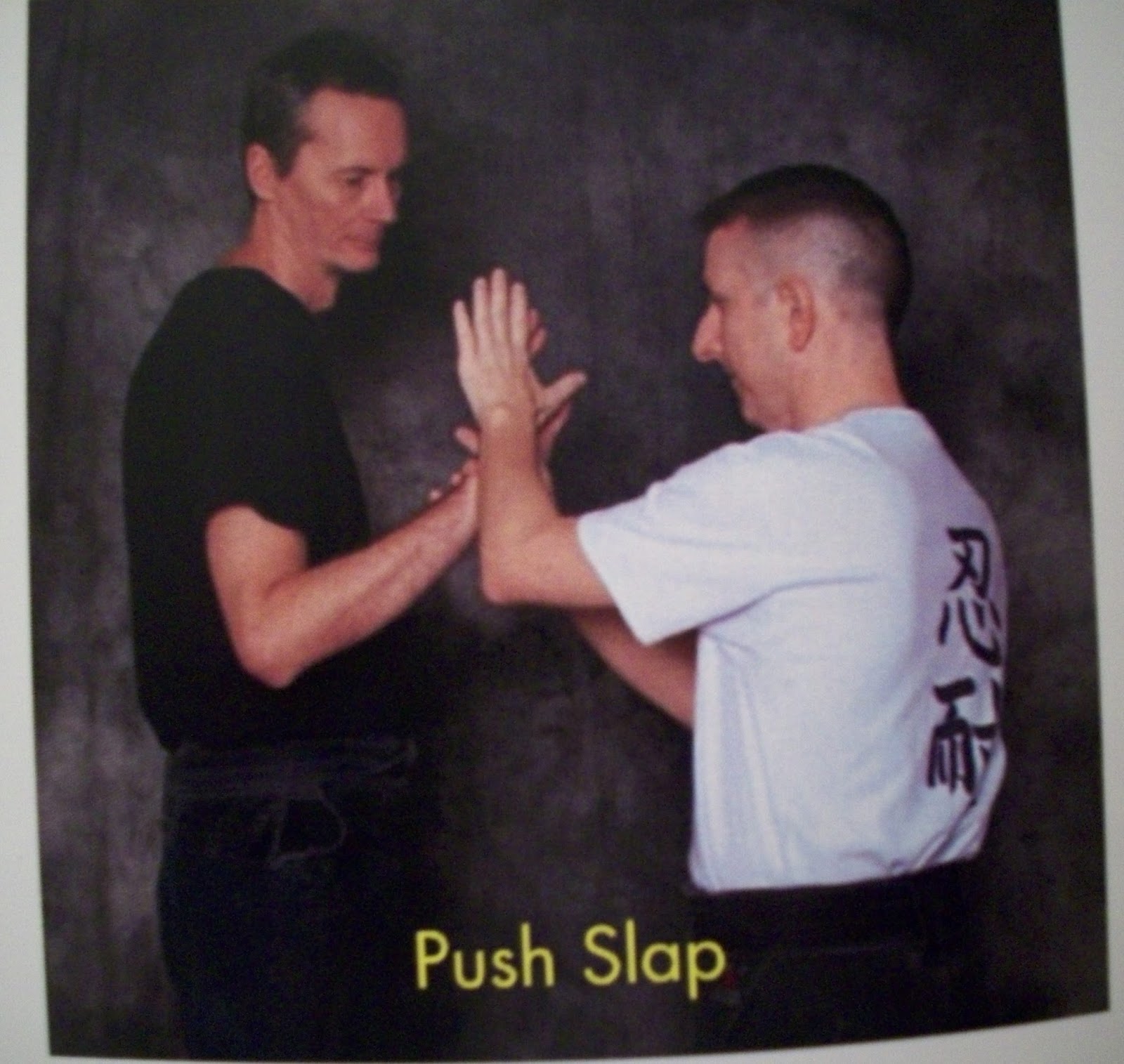 Tuite Jutsu (Personal training/teaching methodologies in Te): The 6 ...