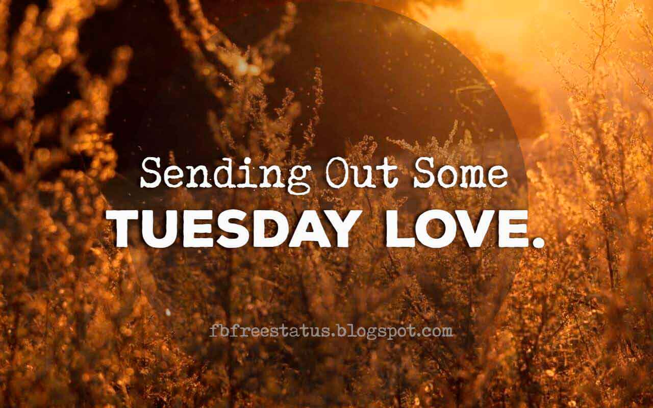 Funny & Happy Tuesday Morning Quotes With Funny Tuesday Memes