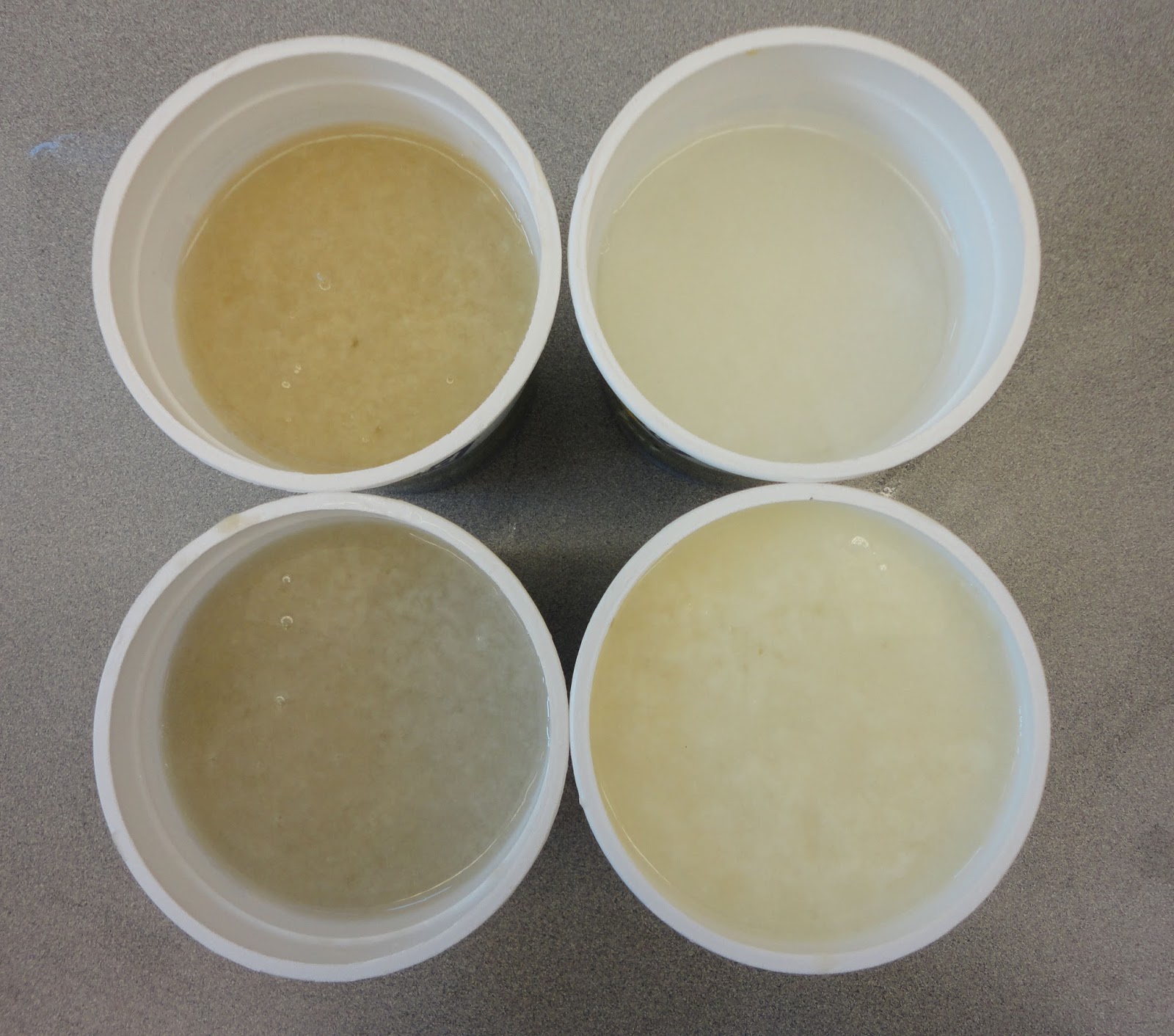 Preservation Services at Dartmouth College: Petite Papermaking for ...