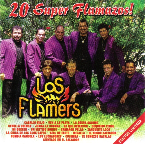 MeTro: Los Flamers - 20 Super Flamazos!