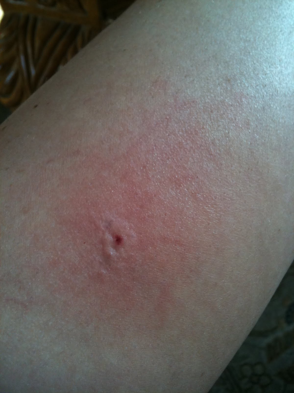 Love To Breathe: 2011