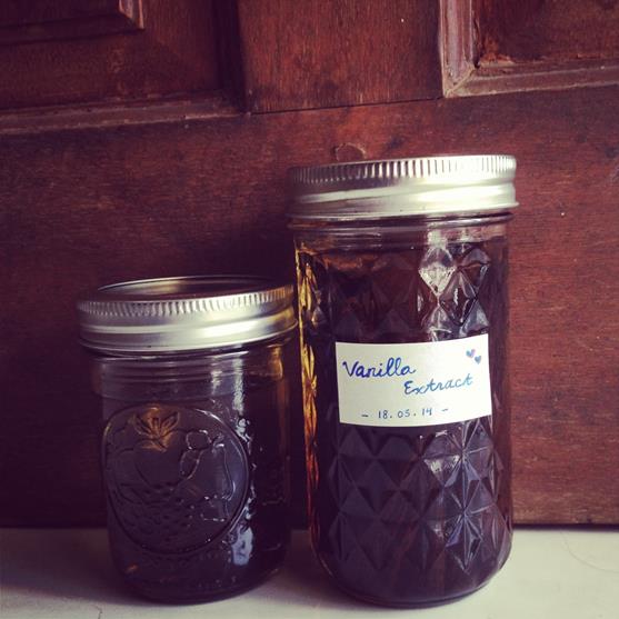 [ENG] Homemade Vanilla Extract - The Taste Test | The Midnight Snack