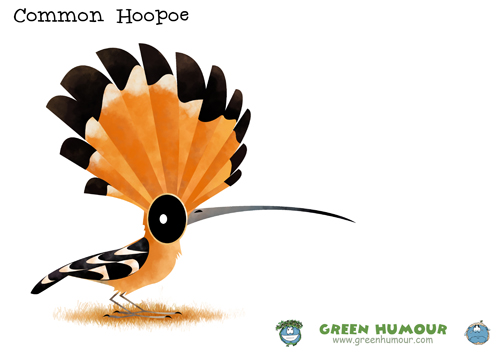 Green Humour: The Hoopoe's Crest