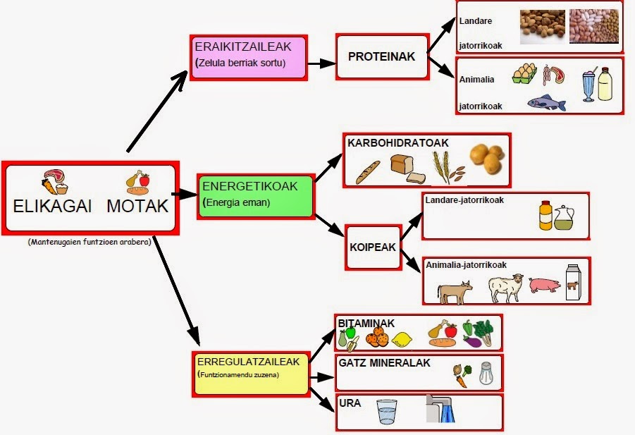 G205-5: ELIKAGAI MOTAK