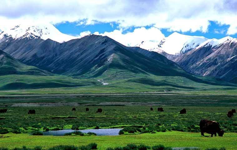 Bome County and Peach Blossom | China Tours Online Blog